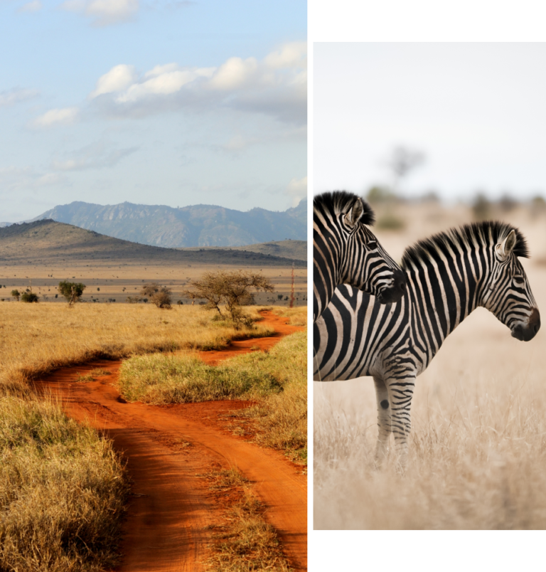 Mara Engei – Luxurious safari lodge overlooking the Masai Mara